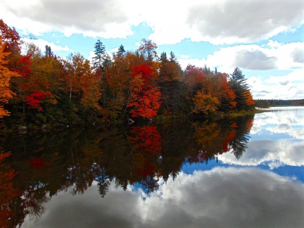 Adirondack Fall Foliage: Mountains Enveloped in Fall Colors
