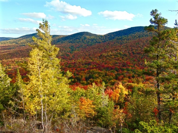 Adirondack Fall Foliage: Mountains Enveloped in Fall Colors