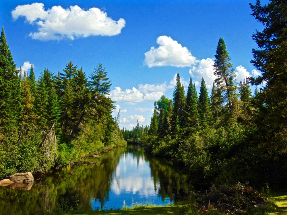 Adirondack Property | Peace in the Middle of Chaos