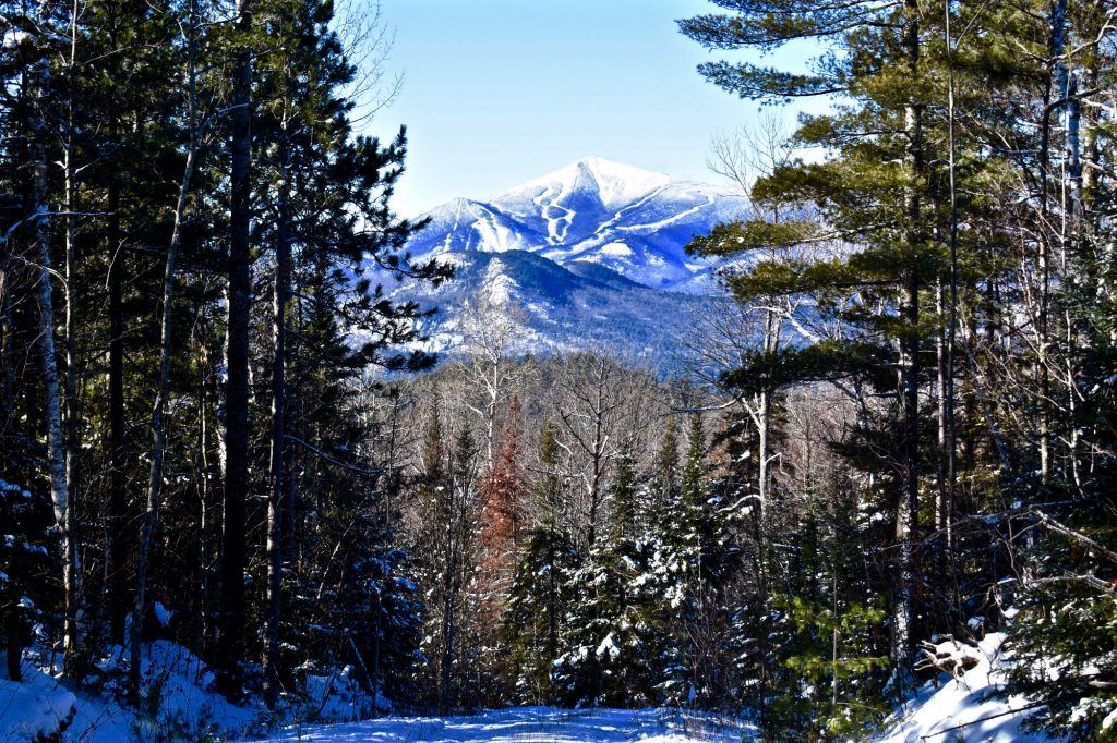 Whiteface Area Region Resources | Land for Sale Near Whiteface Mountain