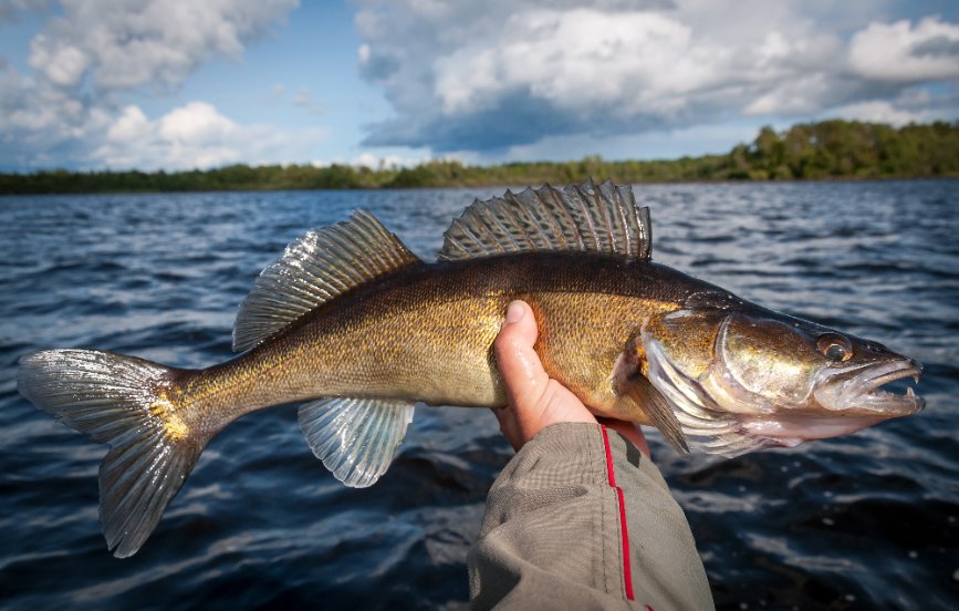 Best Fishing Spots in the Adirondacks | Fishing Land for Sale