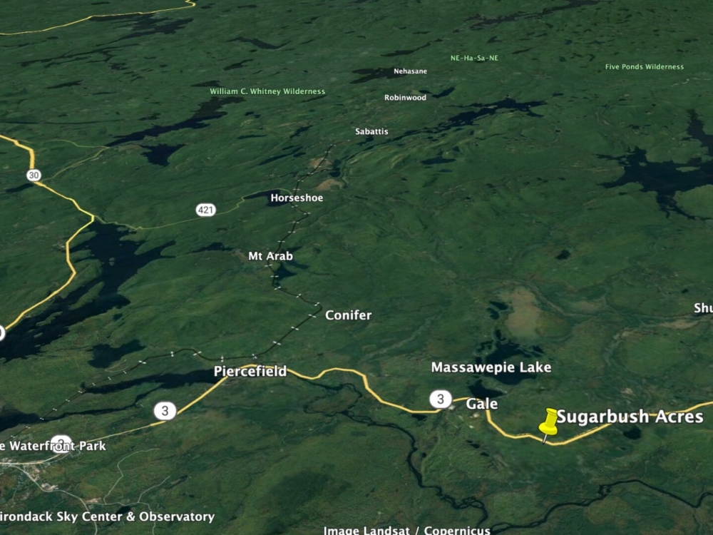 Perfect Property for an Adirondack Homestead | 25 Acres Near High Peaks